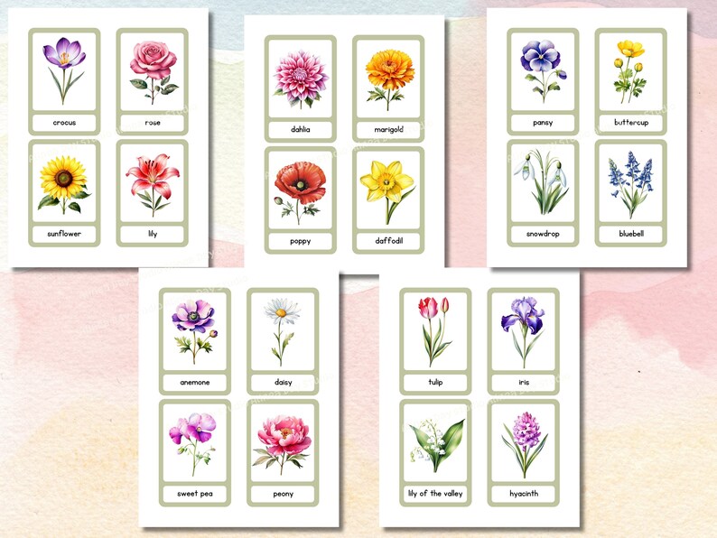 Flowers Flashcards 3 Part Montessori Nomenclature Cards, Flowers Cards ...