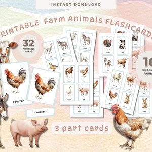 Farm Animal Flashcards 3 Part Montessori Nomenclature Cards, Farm ...