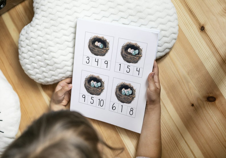 Nest and Eggs Counting Cards: Montessori Printable Activity (digital ...