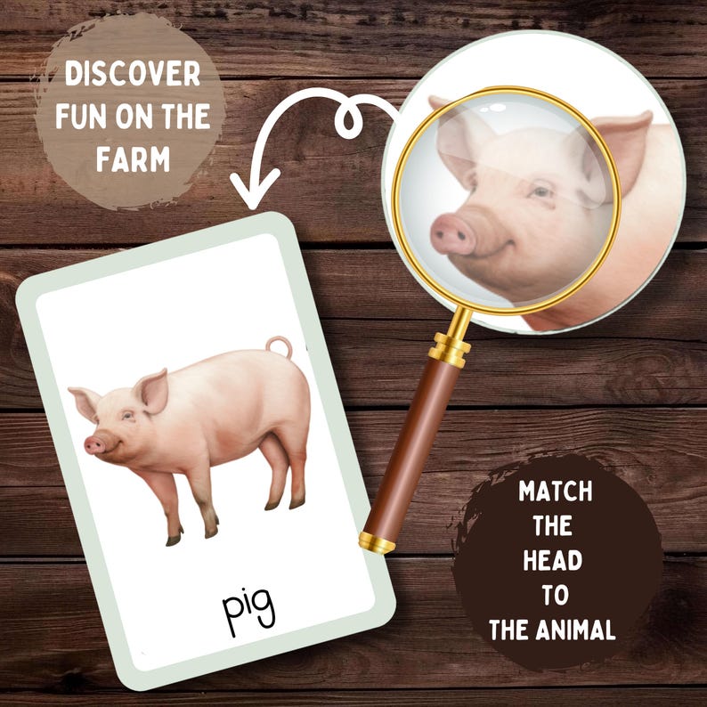 Farm Animals Pattern Matching Cards | Montessori Game for Nature Study ...