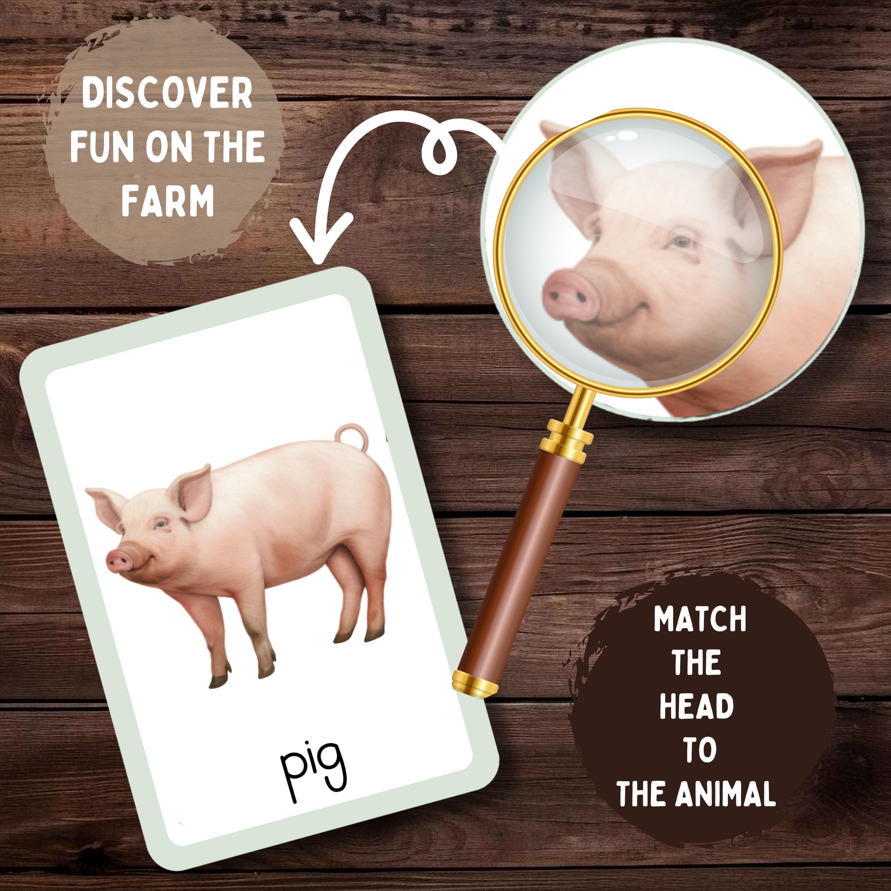 Farm Animals Pattern Matching Cards | Montessori Game for Nature Study ...