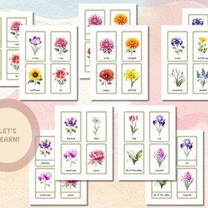 Flowers Flashcards 3 Part Montessori Nomenclature Cards, Flowers Cards ...