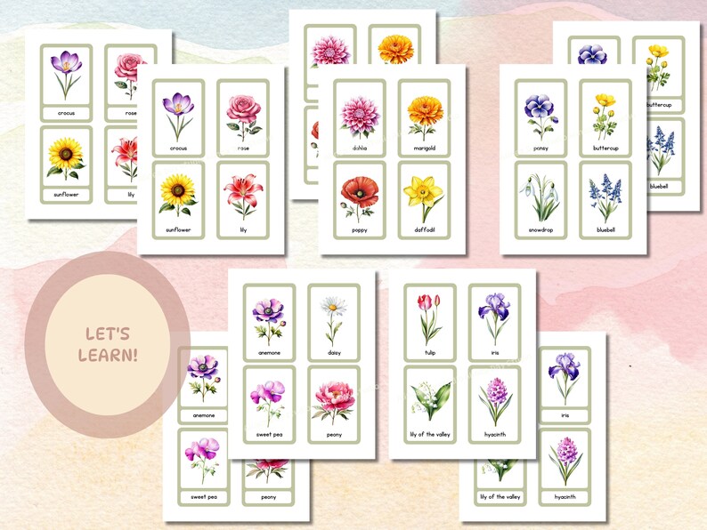 Montessori Flower Flashcards: 3-part Nomenclature Cards (PDF) - Etsy