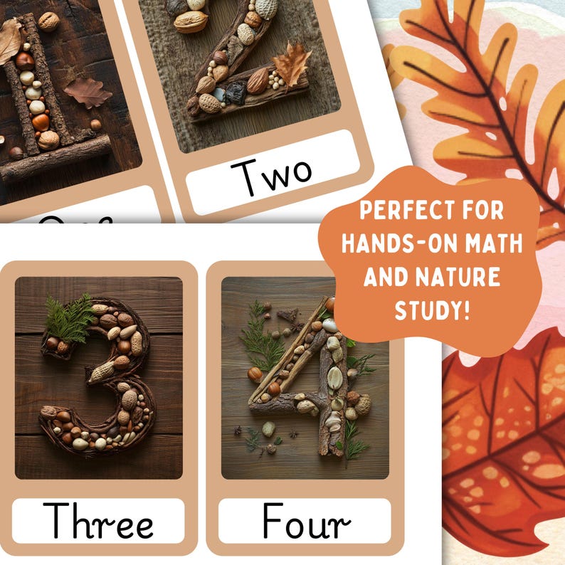Nature Number Cards 1-10: Fall Classroom Decor (PDF) - Etsy