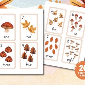 Fall Number Flashcards 1-20: Autumn Counting Activity (PDF) - Etsy