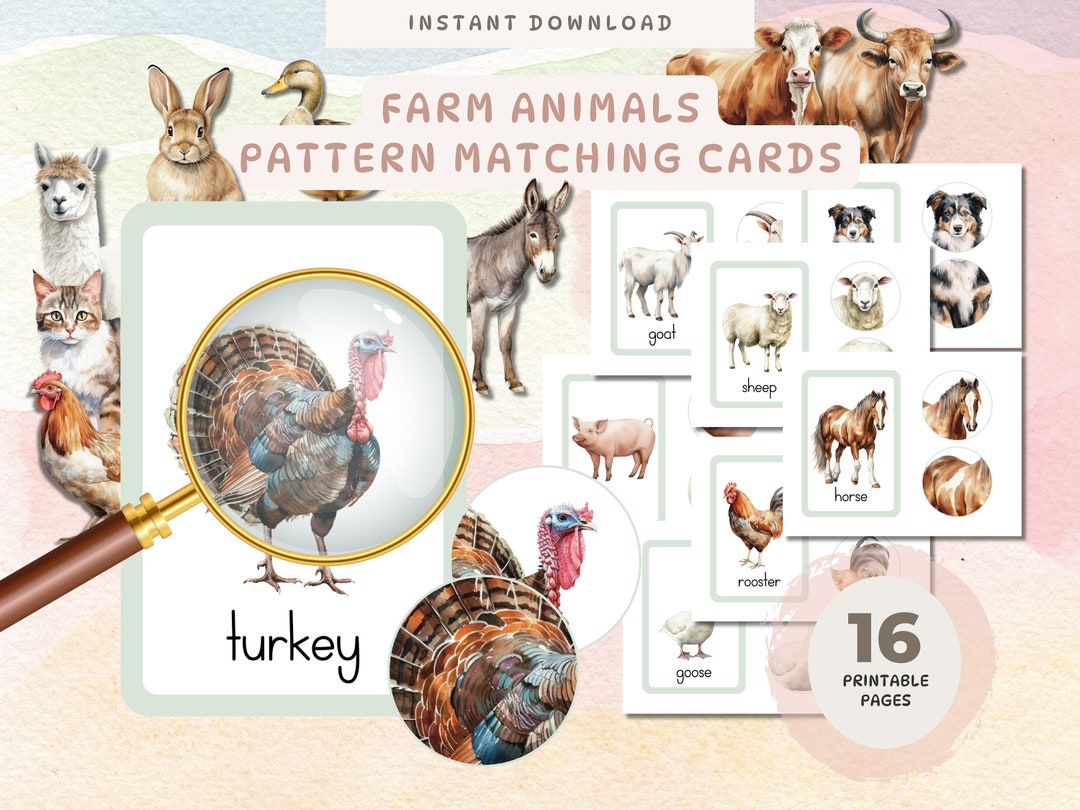 Farm Animals Pattern Matching Cards, Nature Study Montessori Animal ...