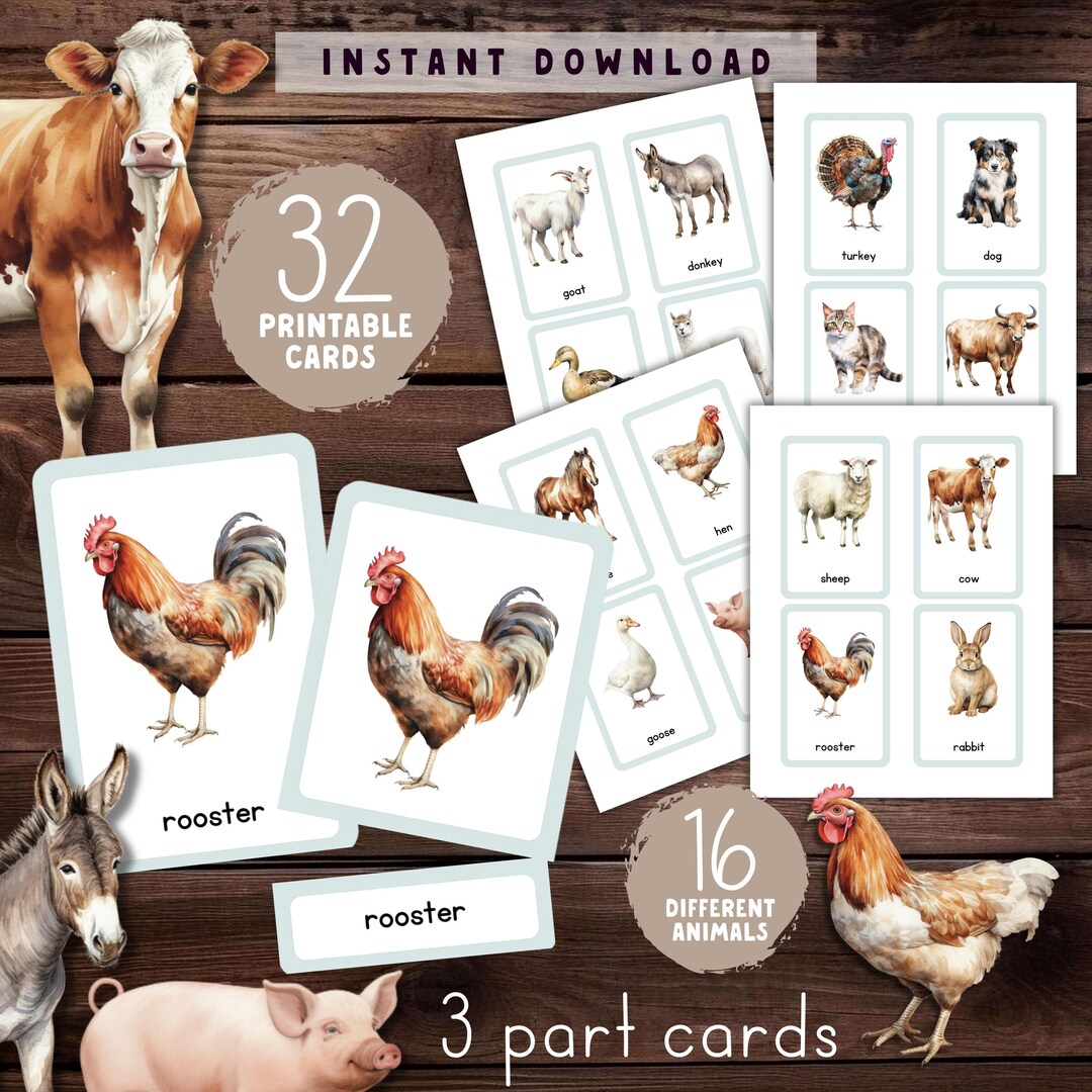 Farm Animal Flashcards: Montessori Vocabulary 3 Part Cards (PDF) - Etsy