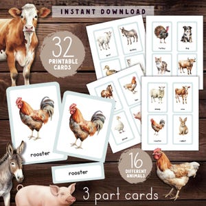 Farm Animal Flashcards | 3-part Montessori Nomenclature Cards ...