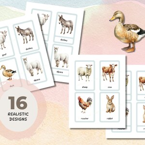 Farm Animal Flashcards 3 Part Montessori Nomenclature Cards, Farm ...