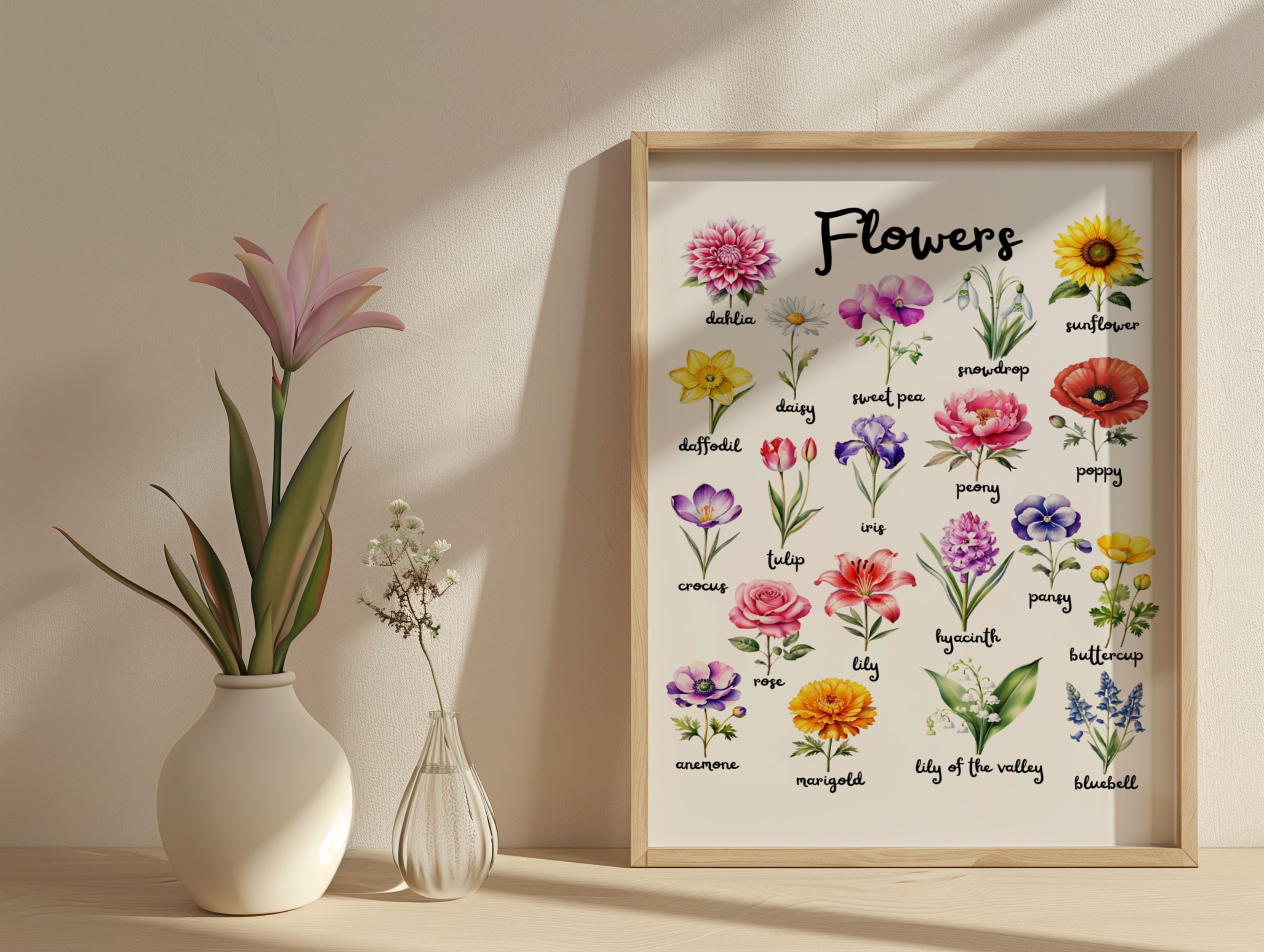 Flowers Educational Poster: Montessori Classroom Nature Chart (PDF) - Etsy
