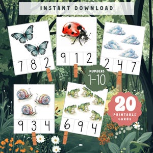 Spring Nature Walk Count & Clip Cards 1-10 Montessori Printable Numbers ...