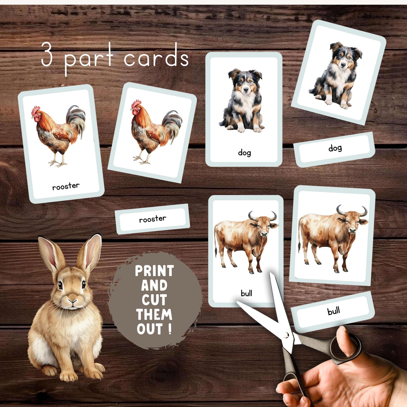 Farm Animal Flashcards | 3-part Montessori Nomenclature Cards ...