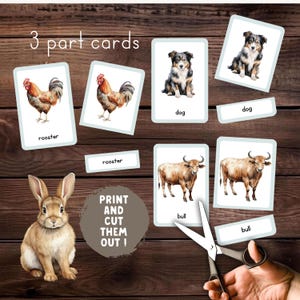Farm Animal Flashcards | 3-part Montessori Nomenclature Cards ...