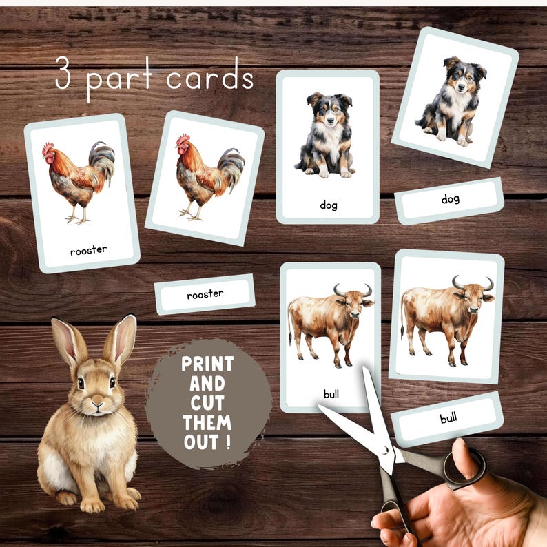 Farm Animal Flashcards | 3-part Montessori Nomenclature Cards ...