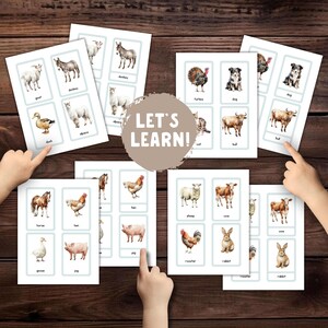 Farm Animal Flashcards | 3-part Montessori Nomenclature Cards ...