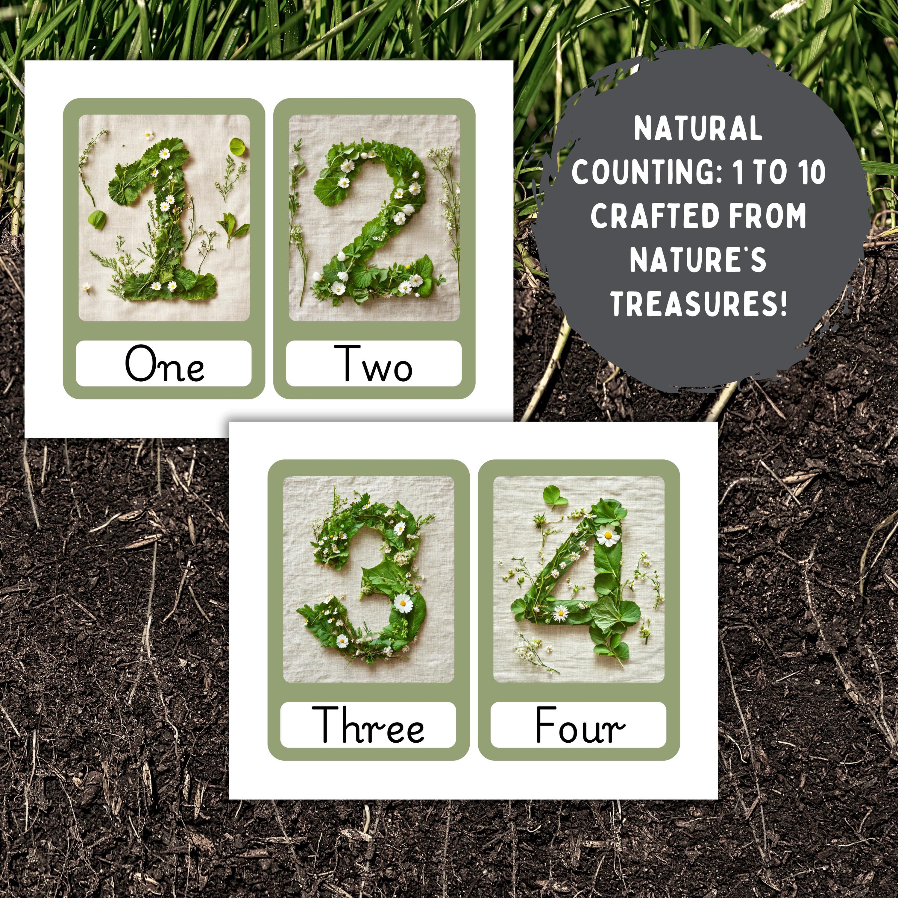 Floral Number Cards 1-10: Montessori Math Printable (PDF Download) - Etsy