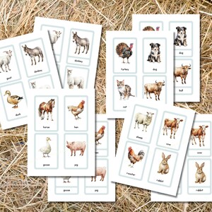 Farm Animal Flashcards 3 Part Montessori Nomenclature Cards, Farm ...