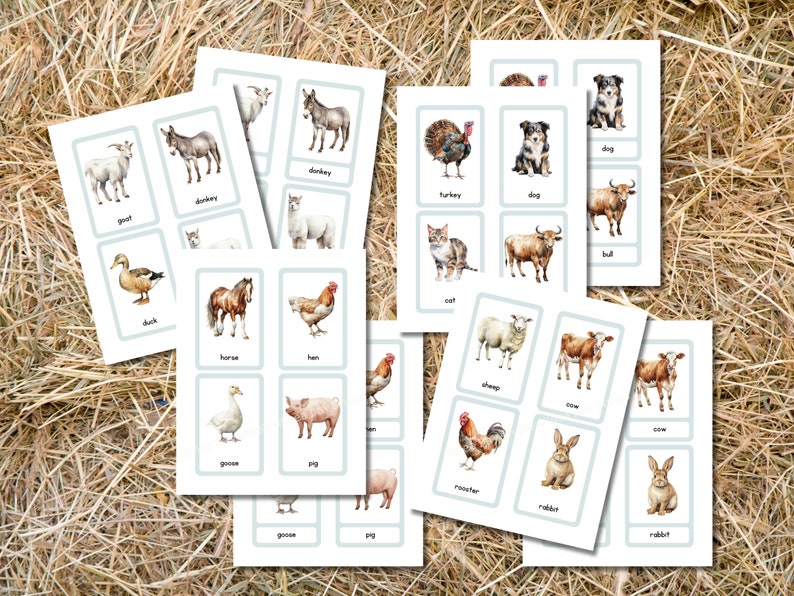 Farm Animal Flashcards 3 Part Montessori Nomenclature Cards, Farm ...