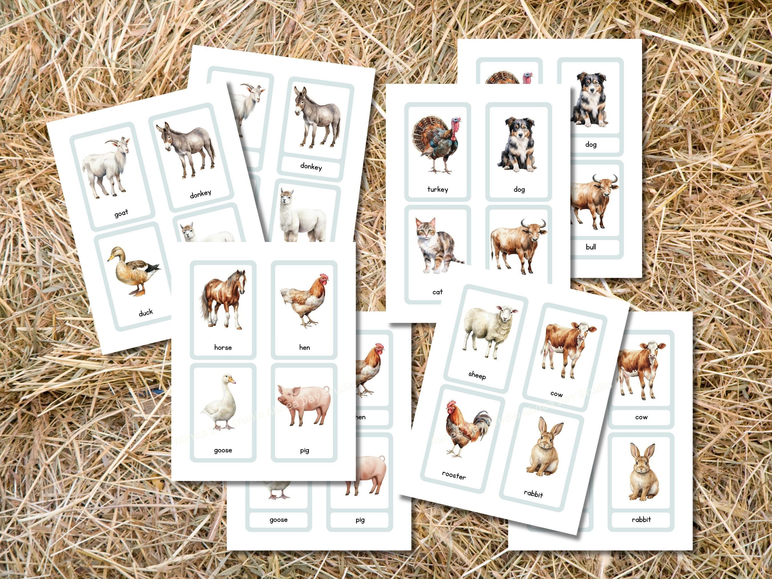 Farm Animal Flashcards 3 Part Montessori Nomenclature Cards, Farm ...