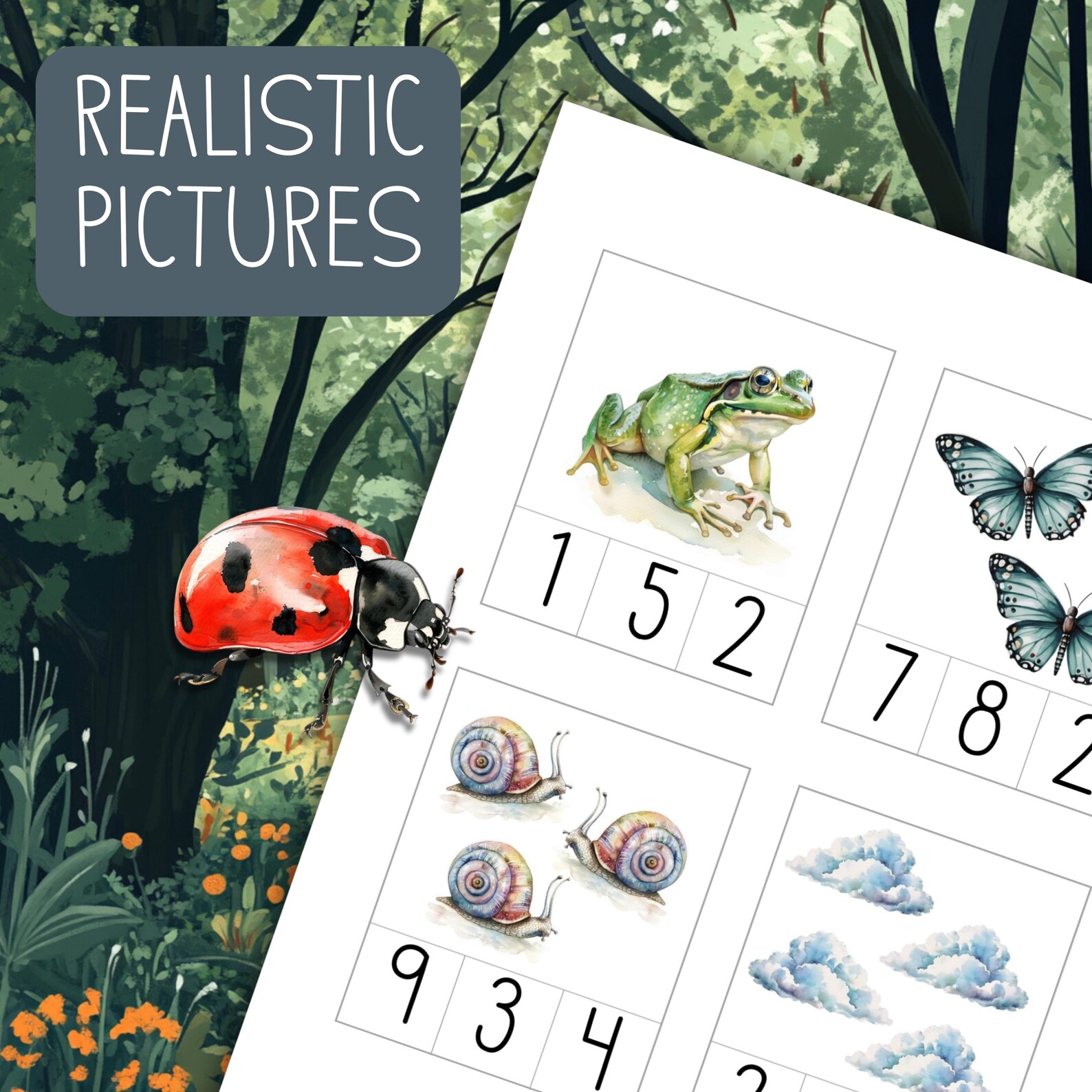 Spring Nature Walk Count & Clip Cards 1-10 Montessori Printable Numbers ...