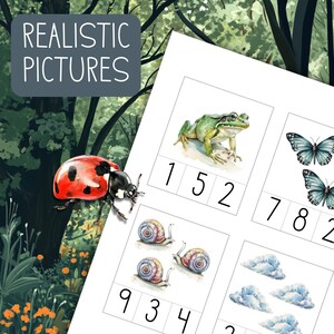 Spring Nature Walk Count & Clip Cards 1-10 Montessori Printable Numbers ...