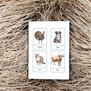 Farm Animal Flashcards 3 Part Montessori Nomenclature Cards, Farm ...
