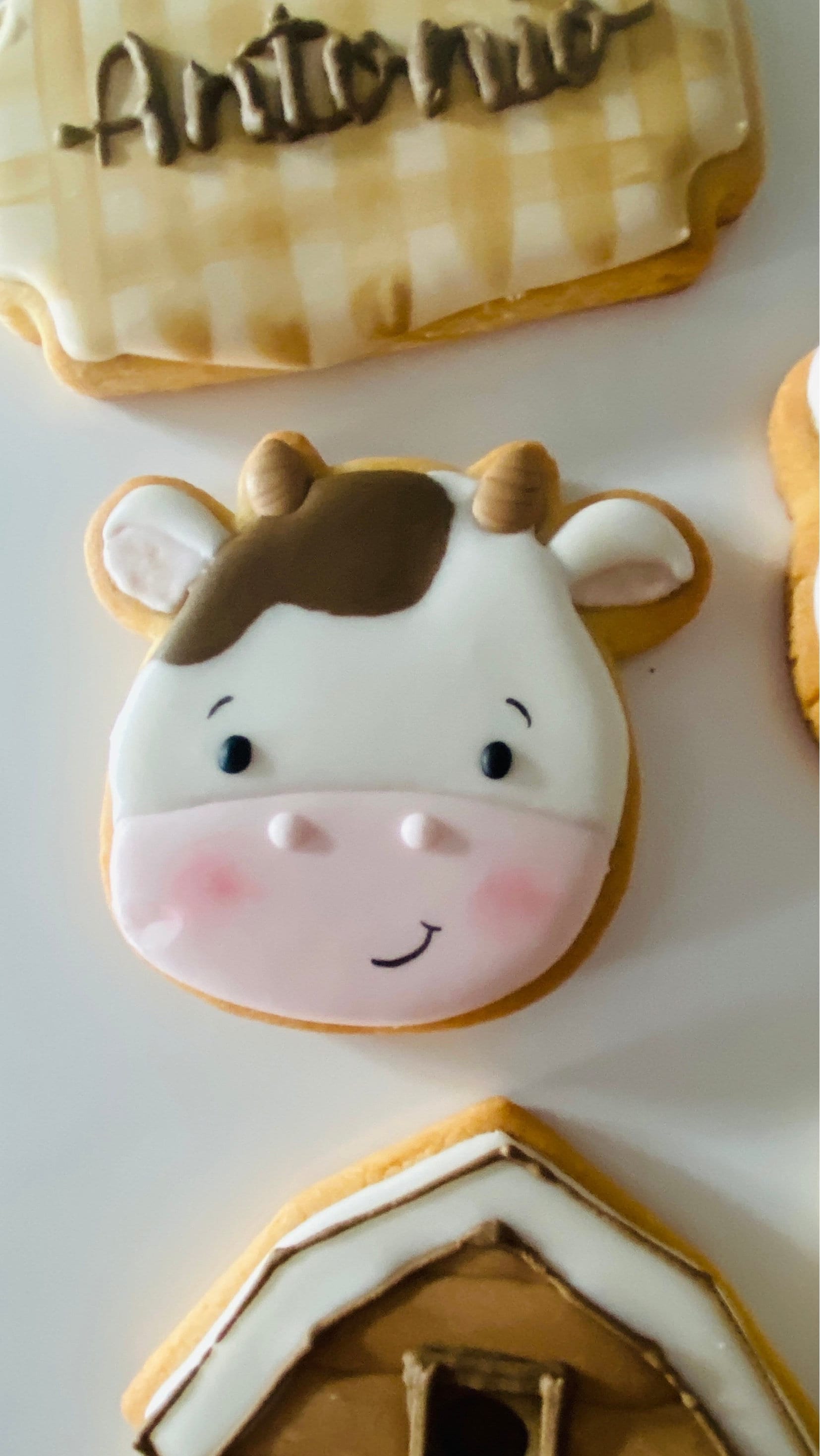 Farm Animals Cookies, Party Cookies, Decorated Cookie, Royal Icing ...