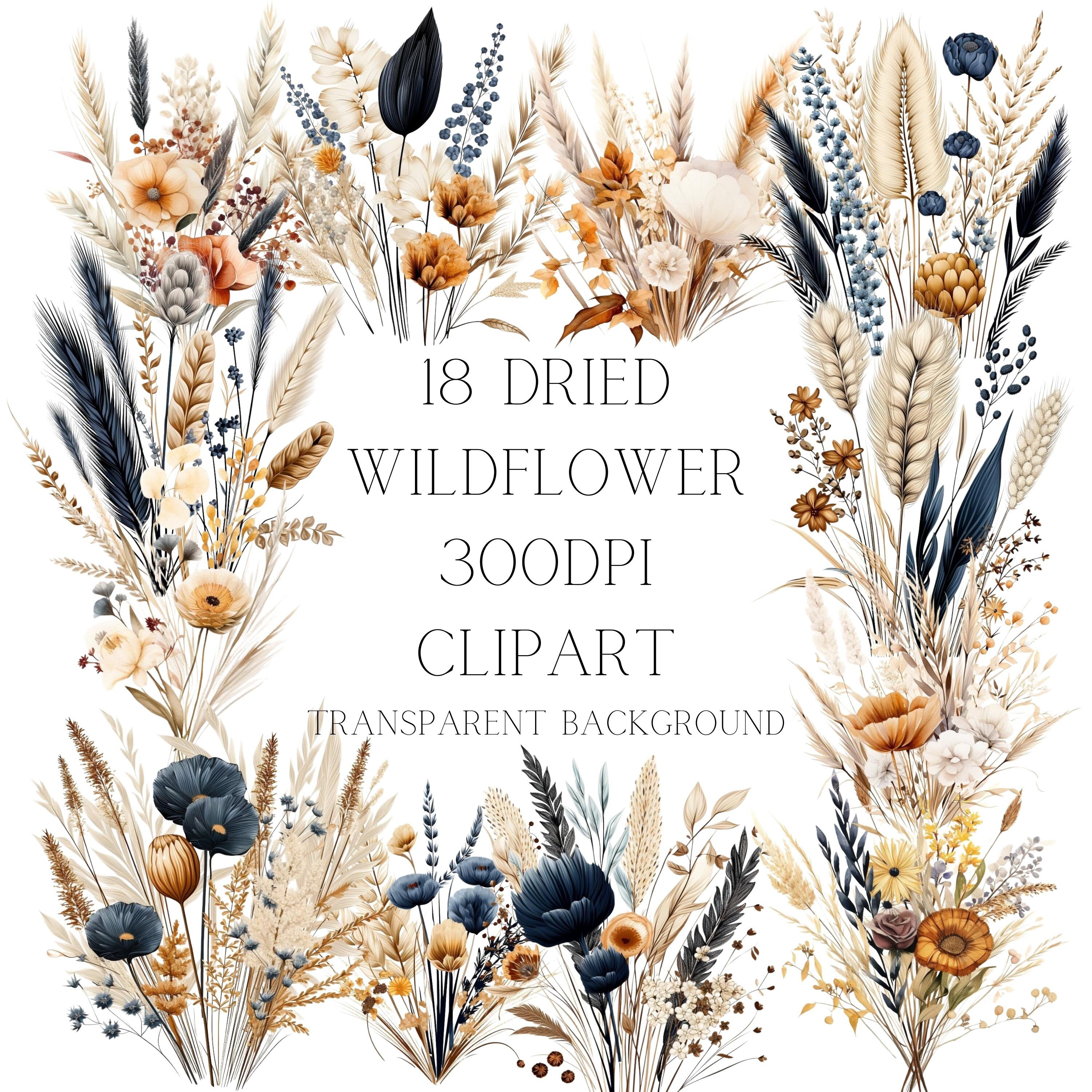 Watercolor Dried Wildflower Clipart, Boho Wall Art Digital Download ...