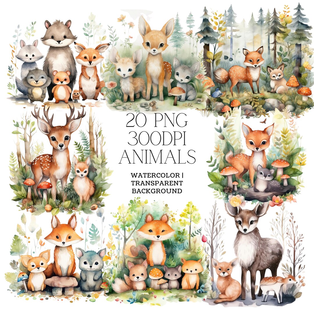 Woodland Animals Clipart 20 PNG & SVG Transparent Background Commercial ...