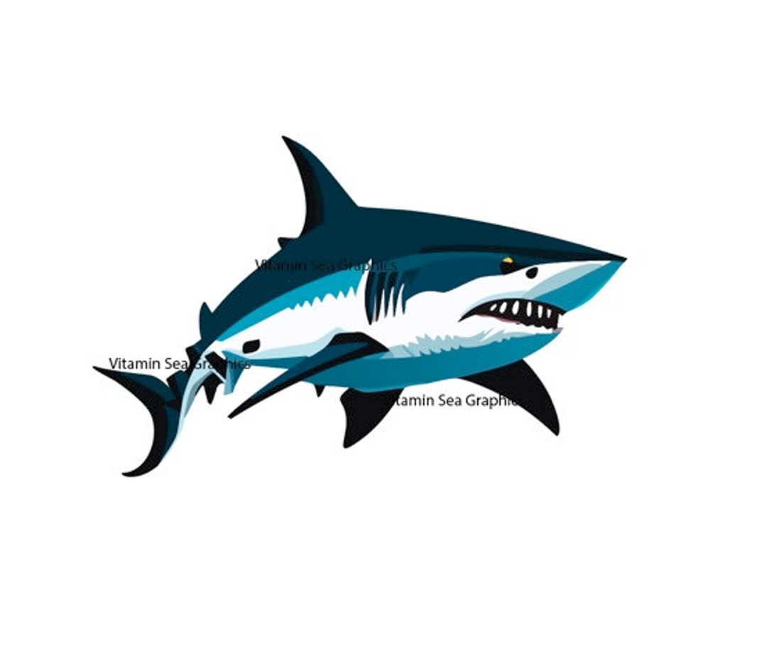 Shark Transparent Png File Clipart - Etsy