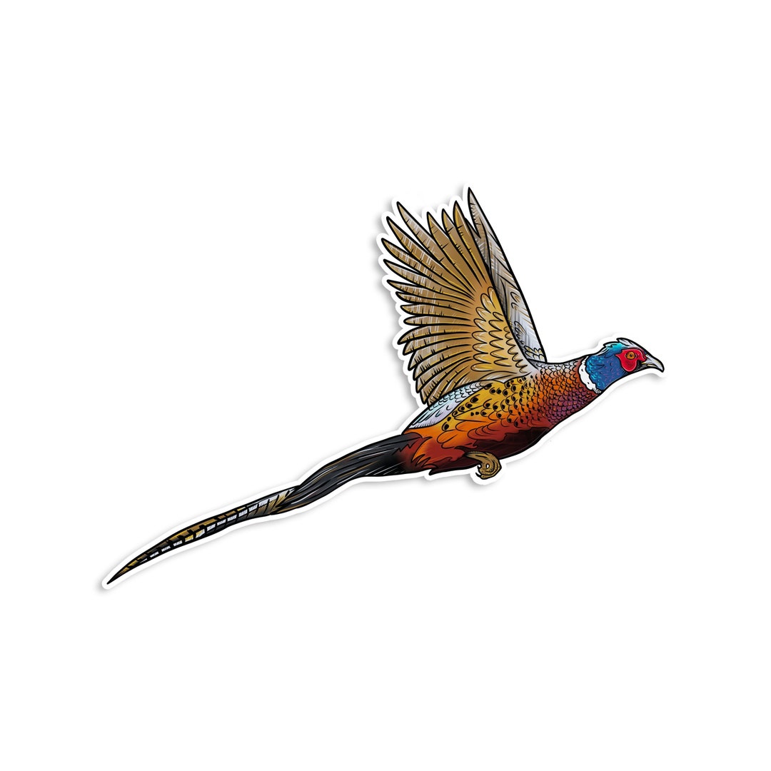 Ringneck Pheasant Flying Sticker - Etsy