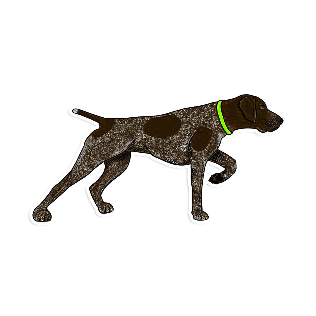 German Shorthaired Pointer Sticker - Etsy