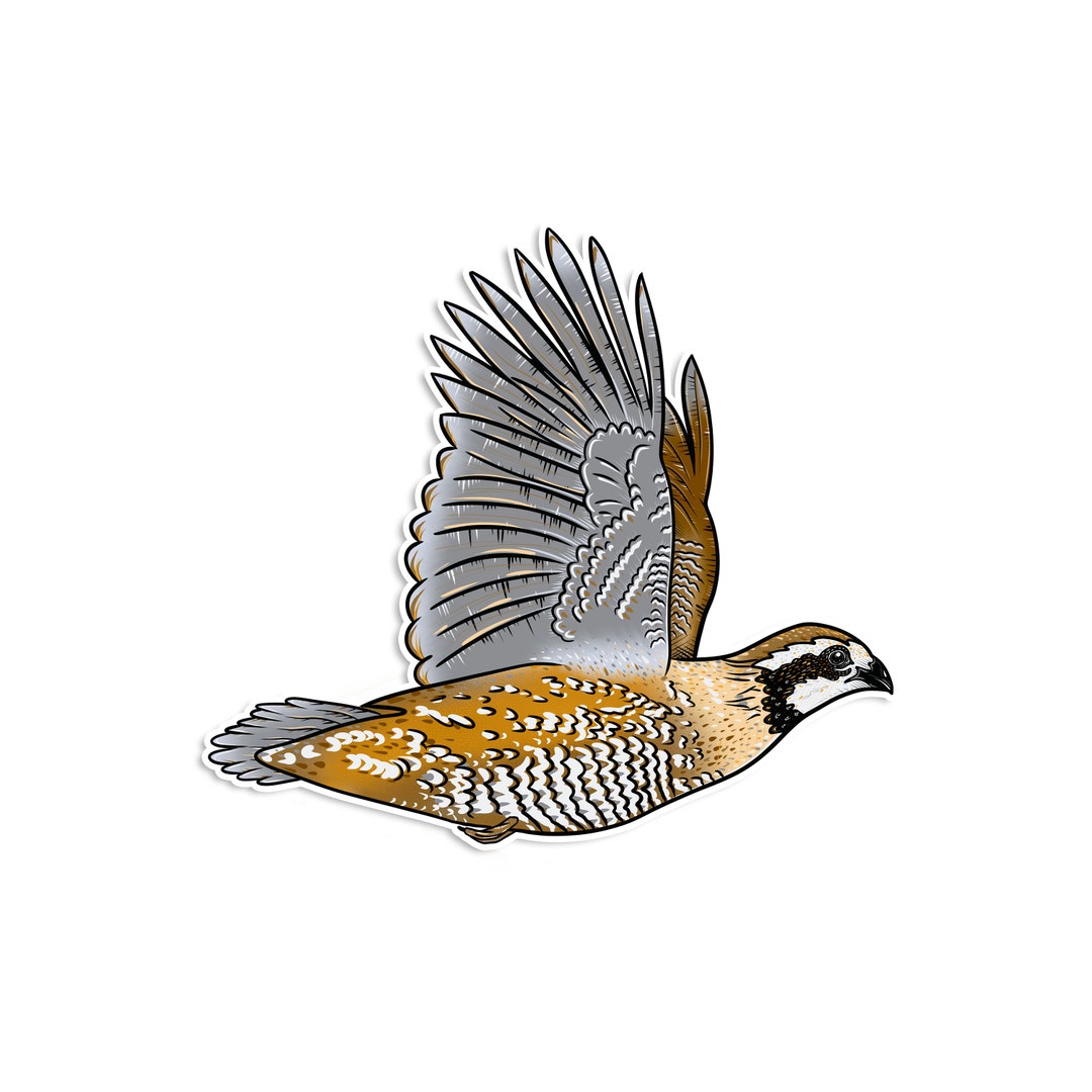 Bobwhite Quail Sticker - Etsy