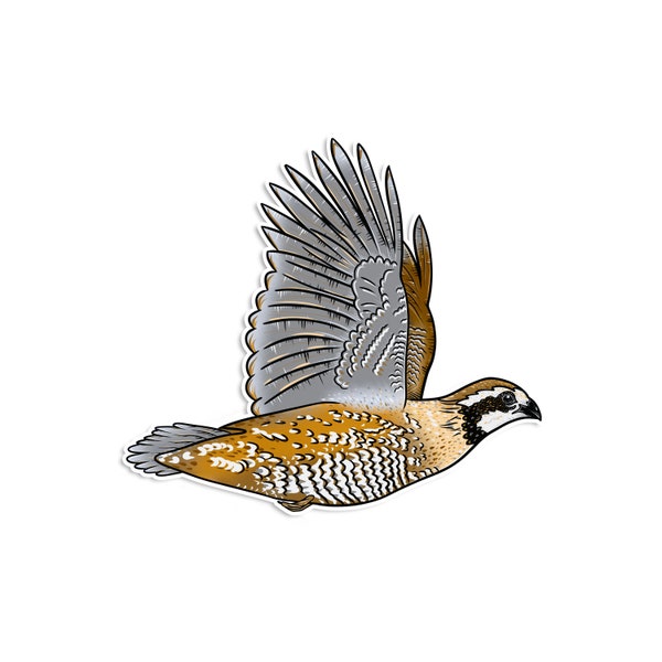 Quail Stickers - Etsy