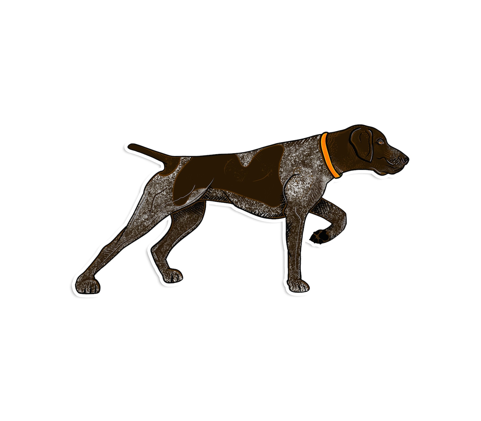 German Shorthaired Pointer Sticker - Etsy