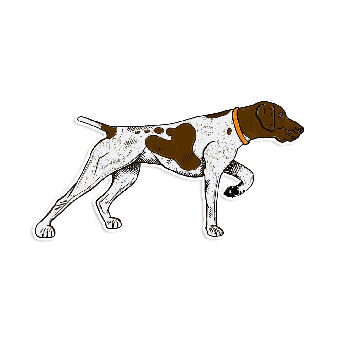German Shorthaired Pointer Sticker - Etsy