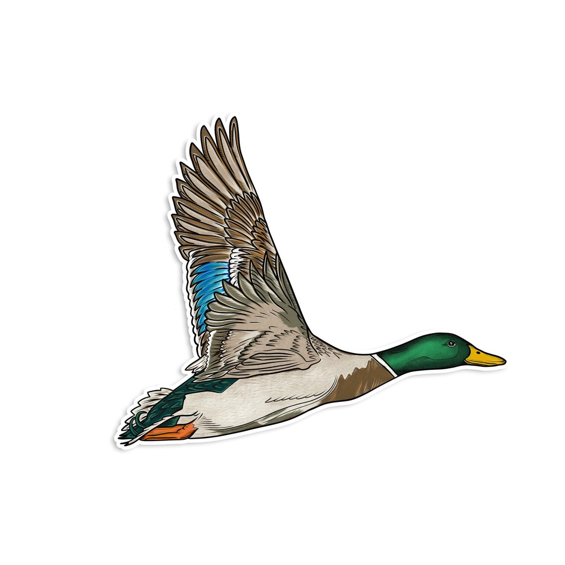 Mallard Duck Sticker - Etsy