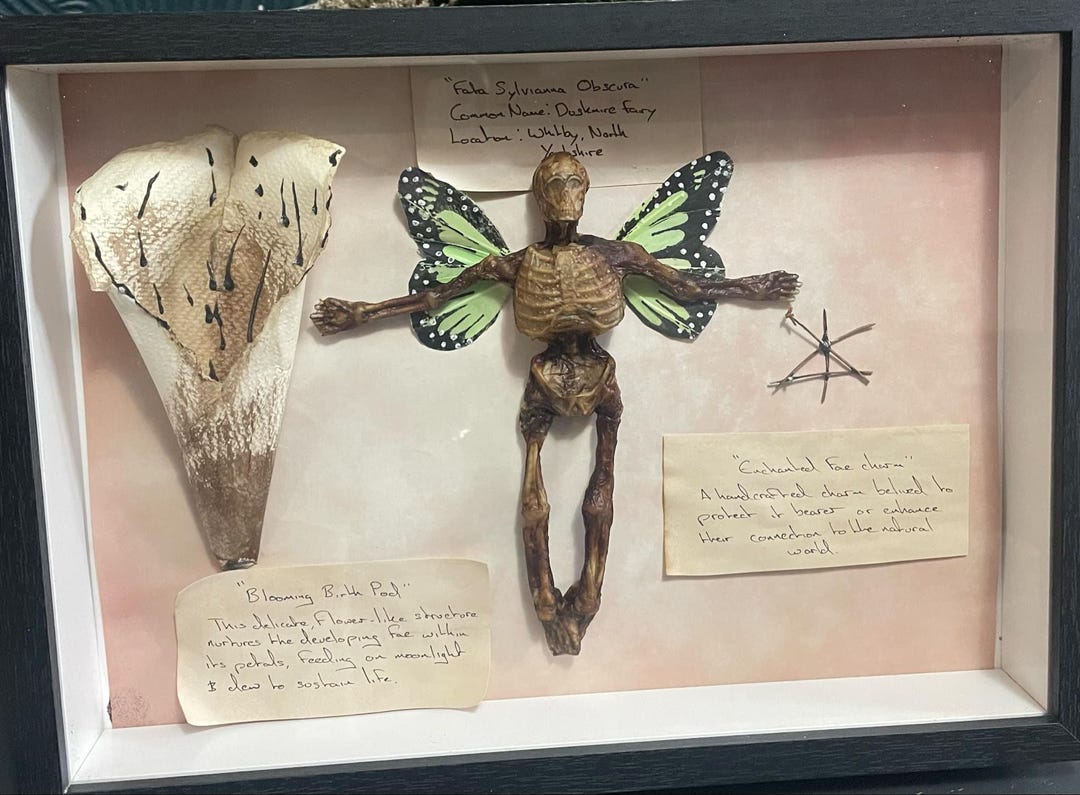 Mummified Fairy Enchanted Fantasy Decor - Etsy