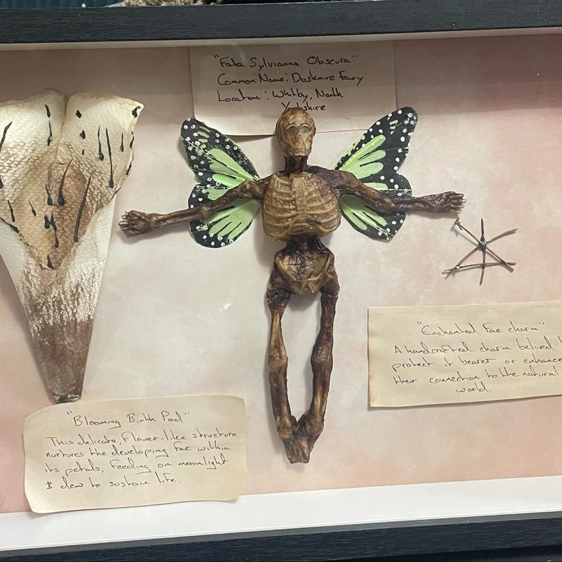 Mummified Fairy - Etsy