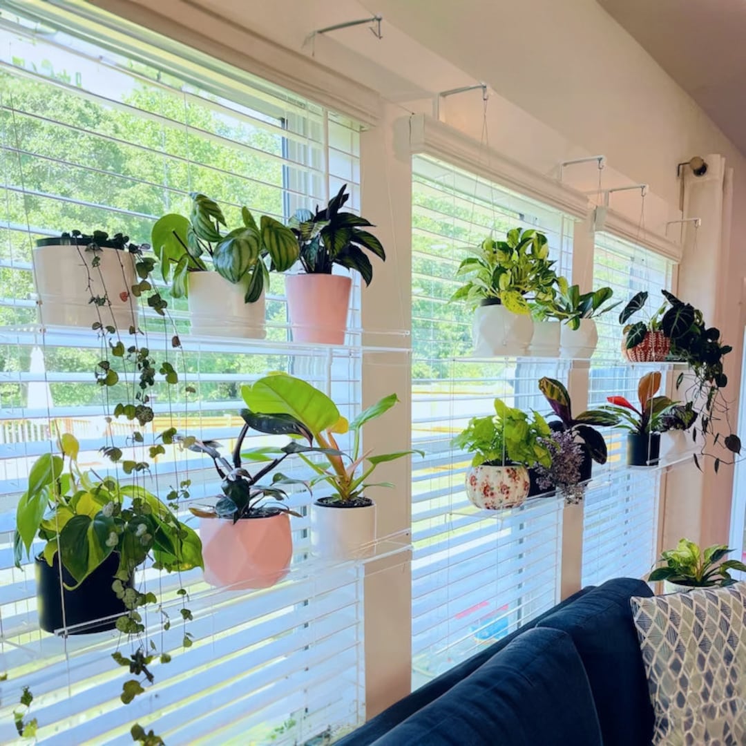 Hanging Shelf Window Plant Shelf Acrylic Plant Shelves Plant Stand - Etsy