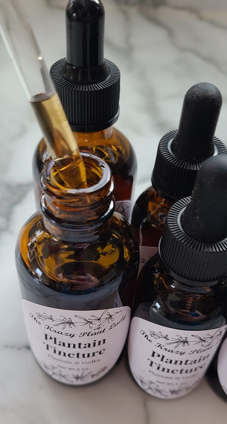 PLANTAIN Tincture (plantago Lanceolata) Wild Harvested - Etsy