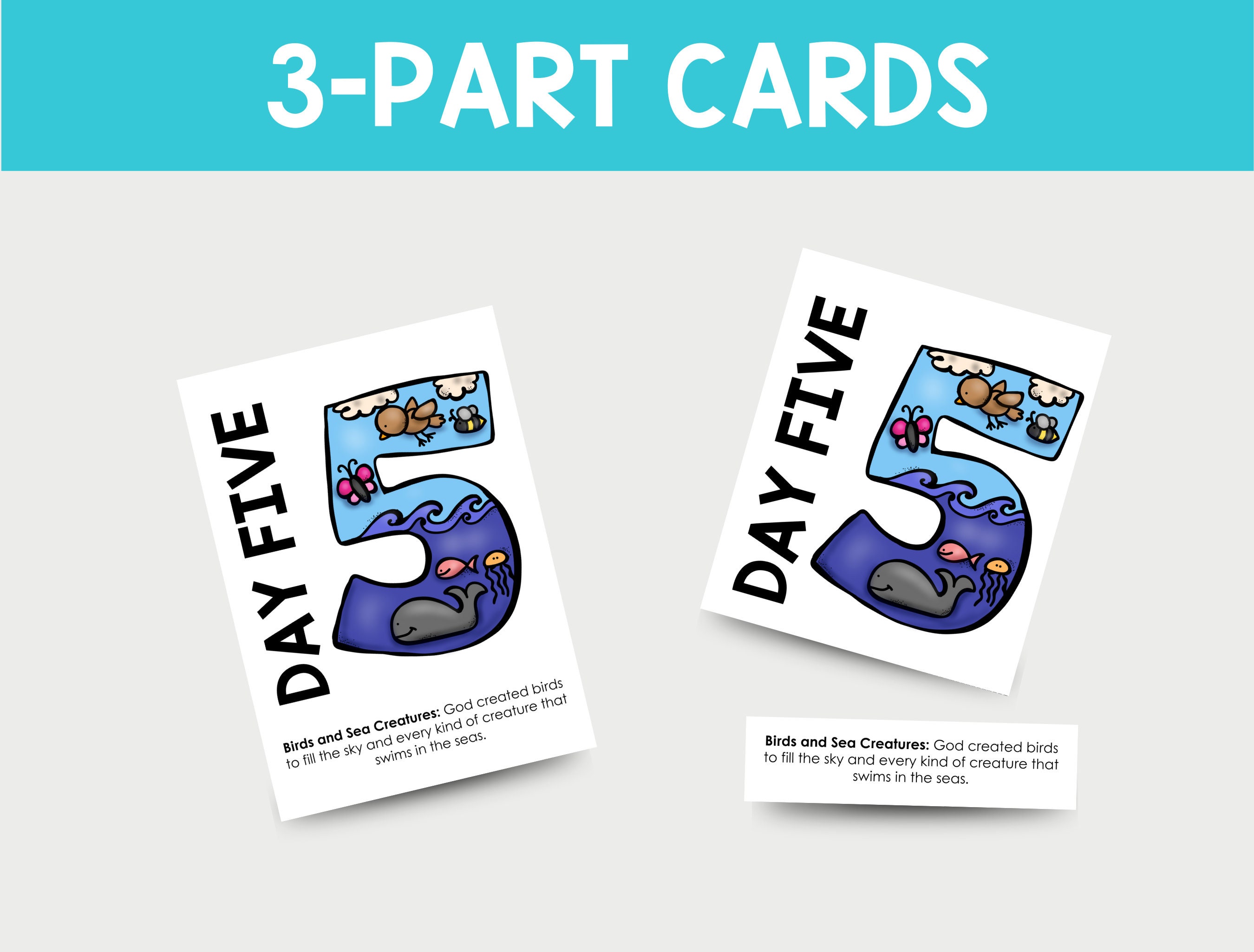 7 Days of Creation Flashcards, Genesis, Bible Study for Kids, Homeschool Activities, Sunday ...