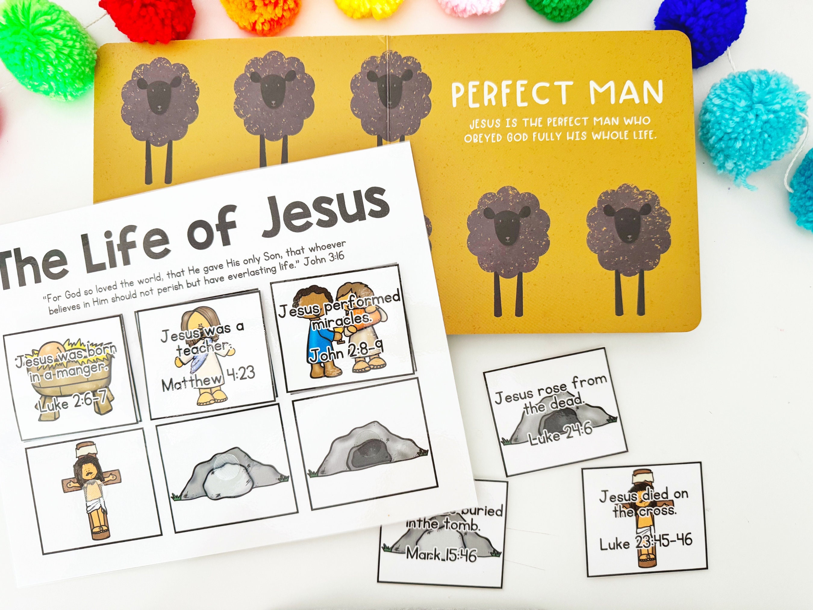 Life of Jesus Bible Matching Activity and Coloring Pages: Sunday School ...