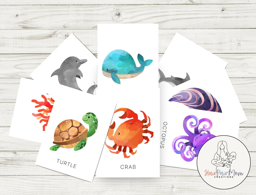 16 Ocean Animals Cards, Montessori Flash Cards, Pre-school Cards ...