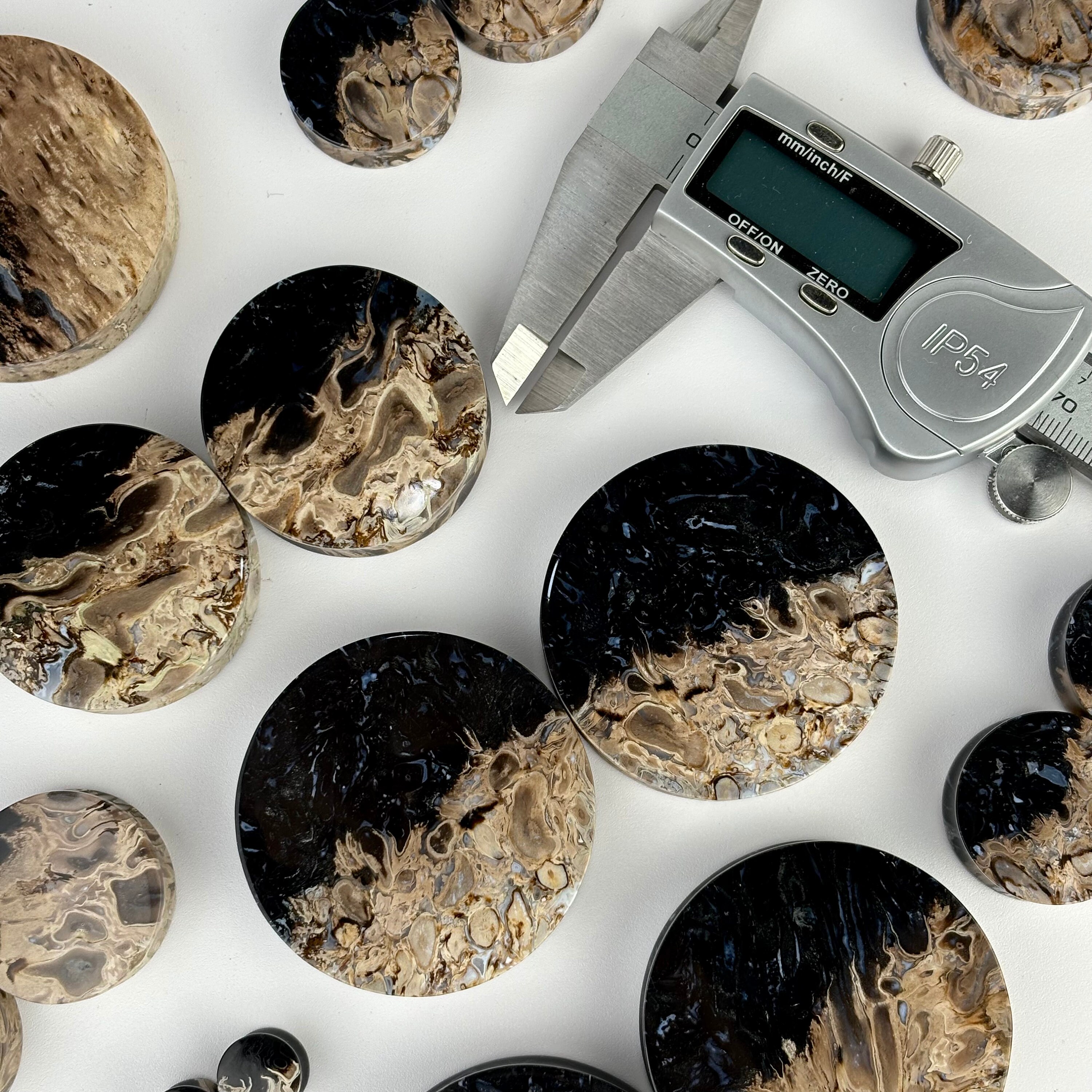 Petrified Palm Root 8mm - 50mm Ear Plugs - Etsy