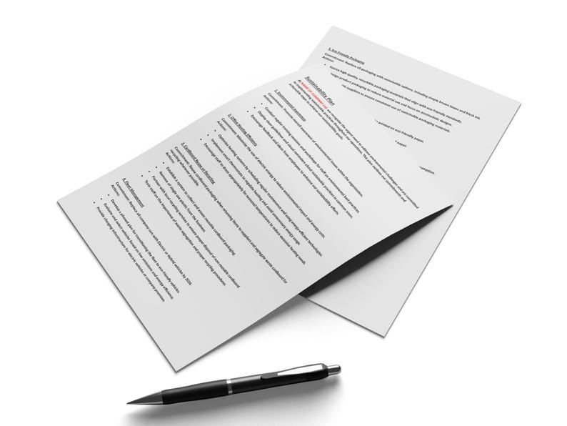 Sustainability Plan Template, Word Document, Sustainability Roadmap ...