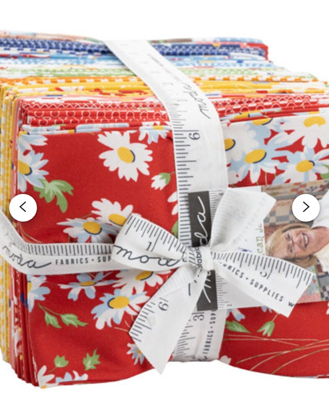 Story Time American Jane 30s Fat Quarter Bundle Includes Panel - Etsy