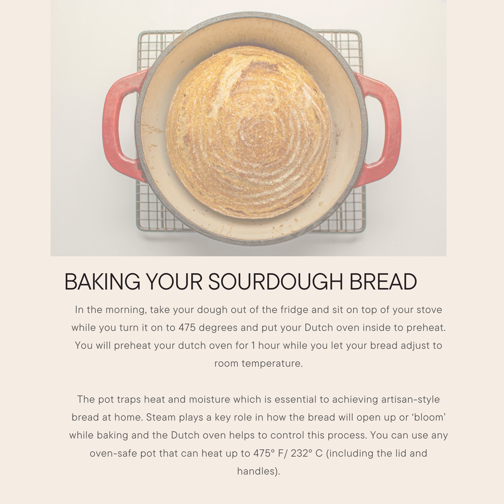 Digital Sourdough Beginner Guidebook - Etsy