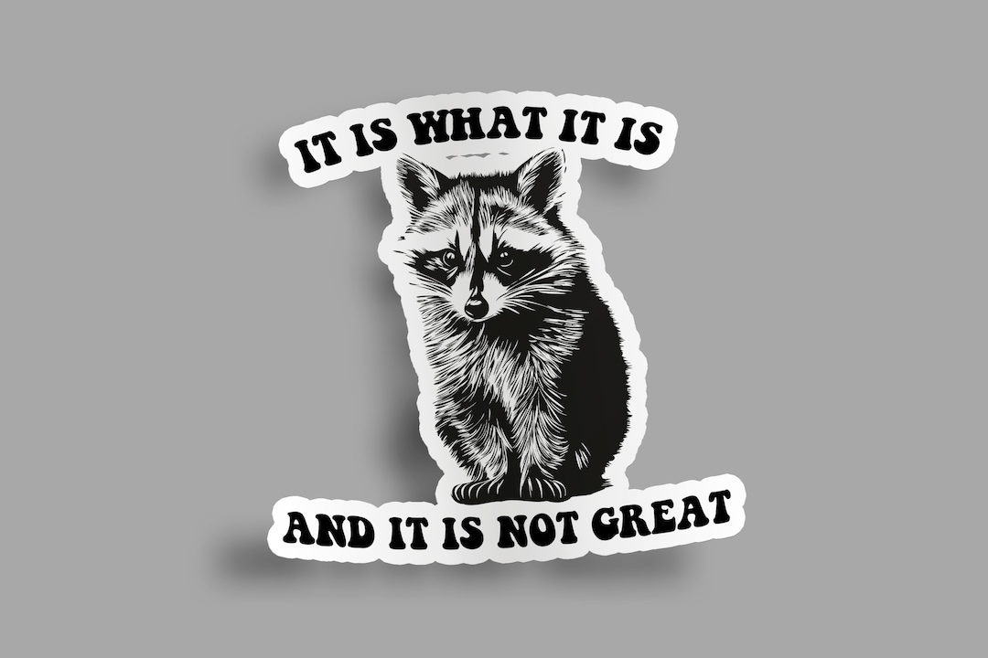 It is What It is and It is Not Great Vinyl Sticker, Raccoon Meme ...