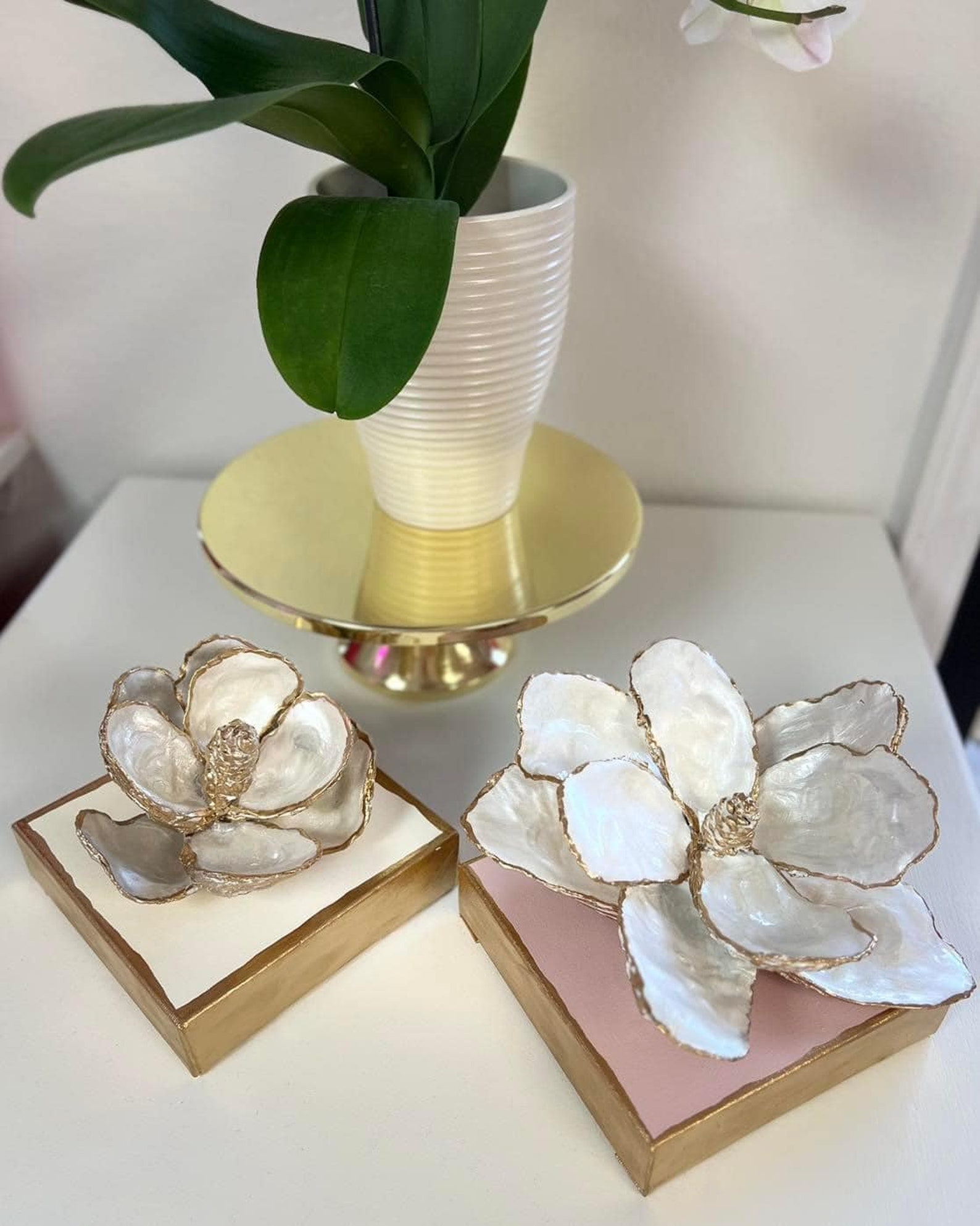 Oyster Shell Magnolia - Etsy
